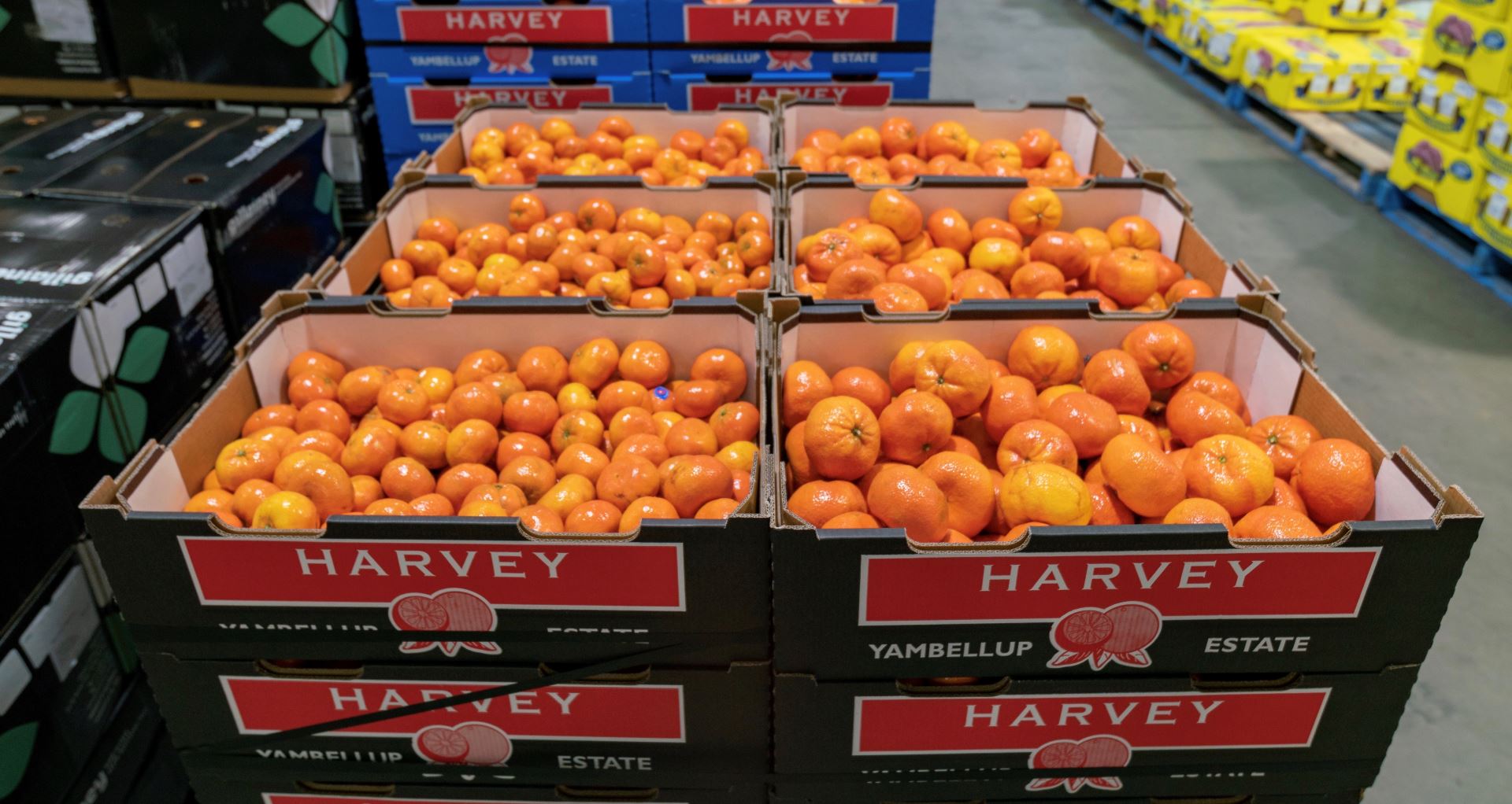 Fruit and vegetable market | Quality Produce International